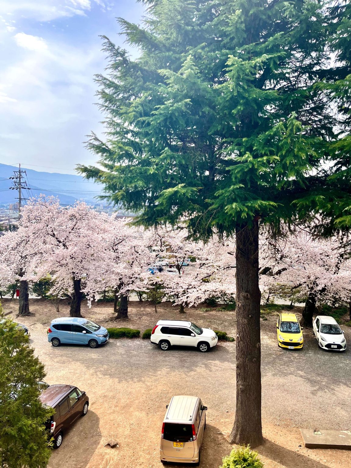 深志高校の春 | 長野県松本深志高等学校
