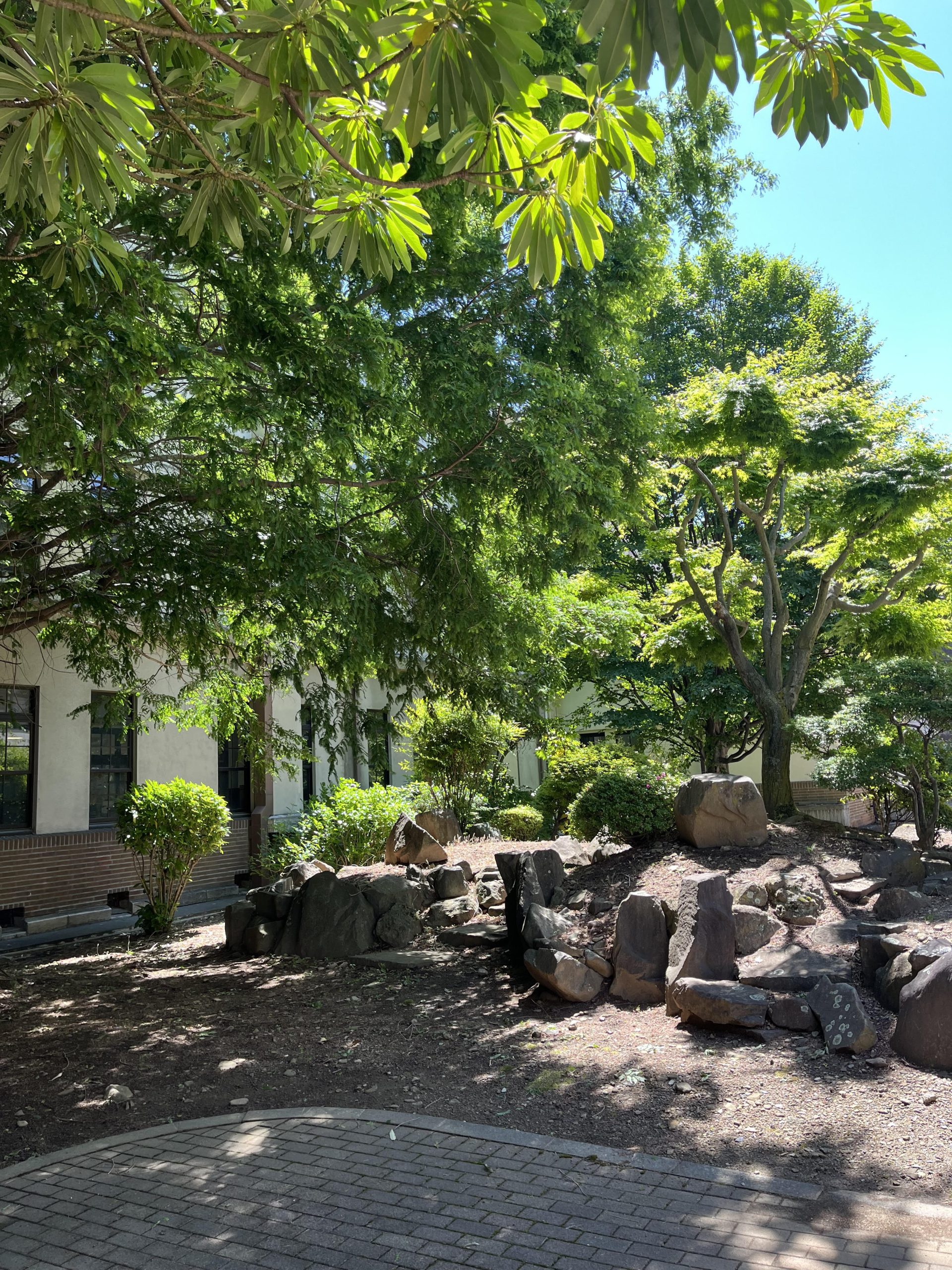 新緑の深志 | 長野県松本深志高等学校